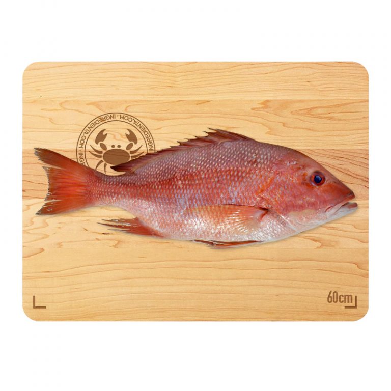 Ingredienta | Mariscos > Calamar Baby