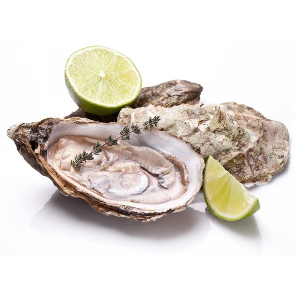 Ingredienta | Del Mar > Ostión Mediano Vivo