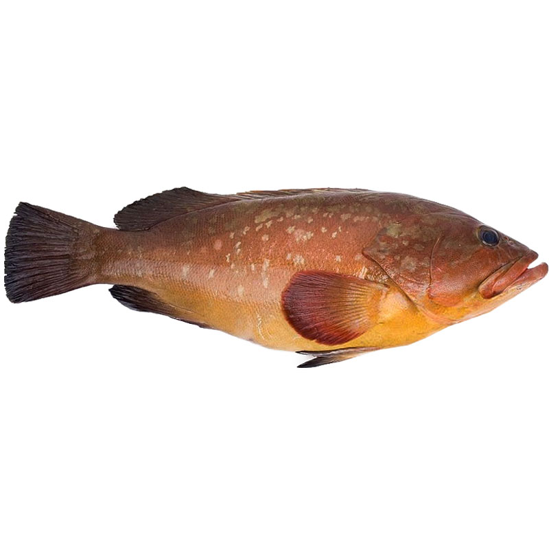 Mero Fresco Entero - Ingredienta