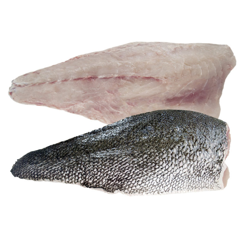 Ingredienta | Del Mar > Totoaba Fresca de Cultivo en Lomos