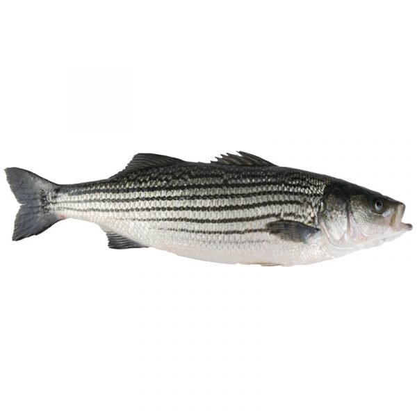 Lobina Rayada Entera, 3 kg » Ingredienta
