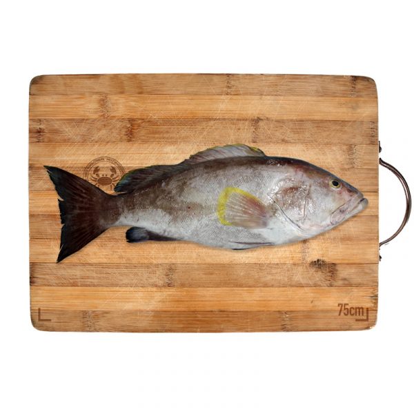 Ingredienta | Del Mar > Extraviado Entero Fresco