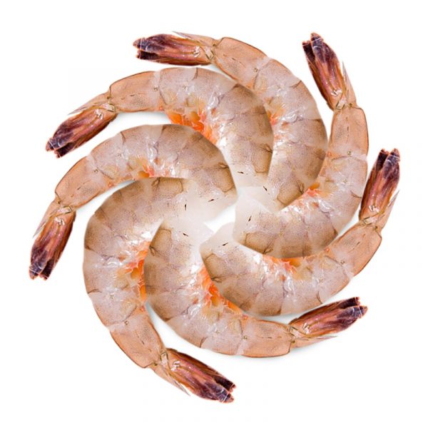 Ingredienta | Del Mar > Camarón U8 Jumbo