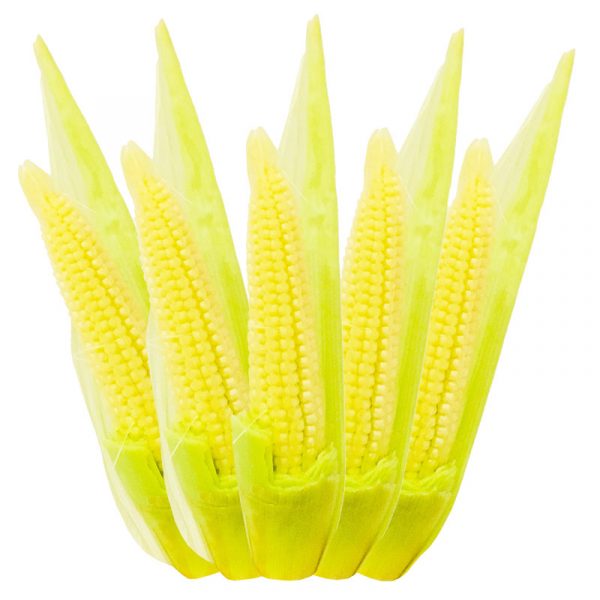 Ingredienta | Vegetales > Elotitos Baby Fresco