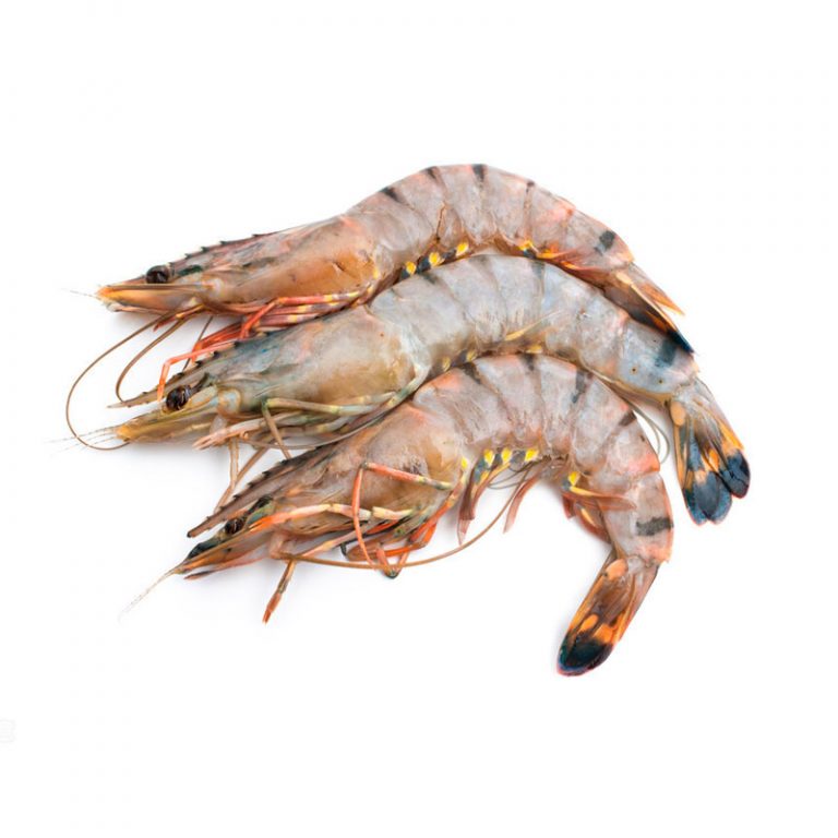 Ingredienta | Del Mar > Camarón Tigre U2
