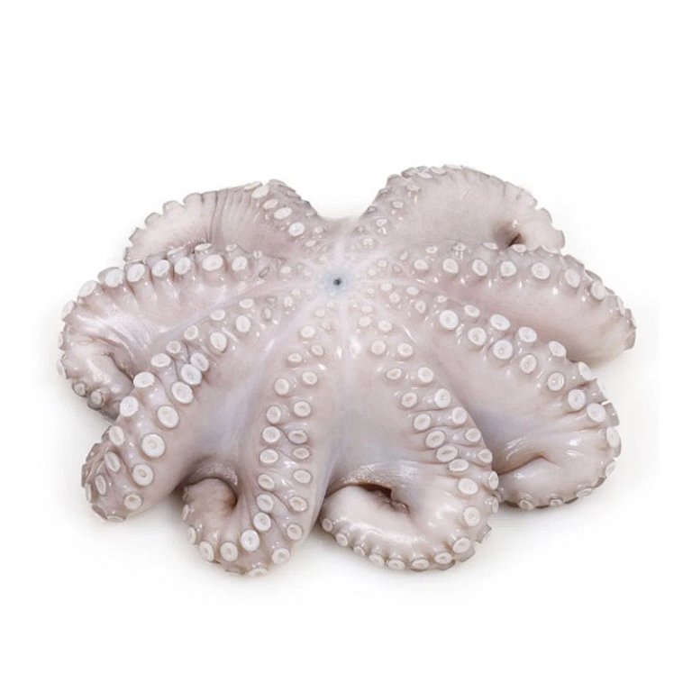 Ingredienta | Del Mar > Pulpo Entero 6 - 8