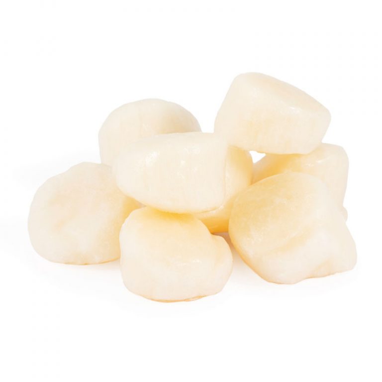 Callos Archivos » Ingredienta