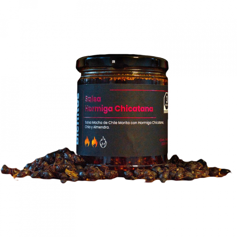 Ingredienta | Salsa > Salsa Macha de Chile Morita con Hormiga Chicatana